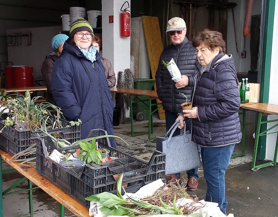 Pflanzen und Gärten im Fokus