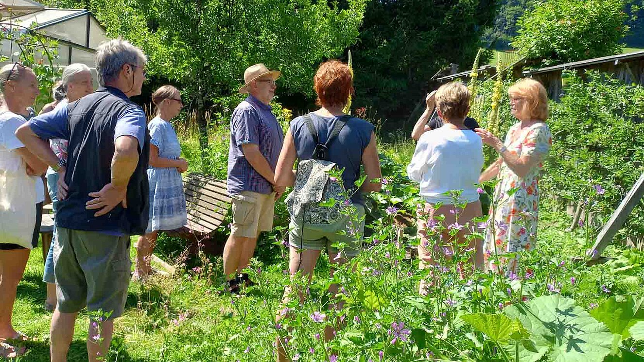 Die Natur als Vorbild